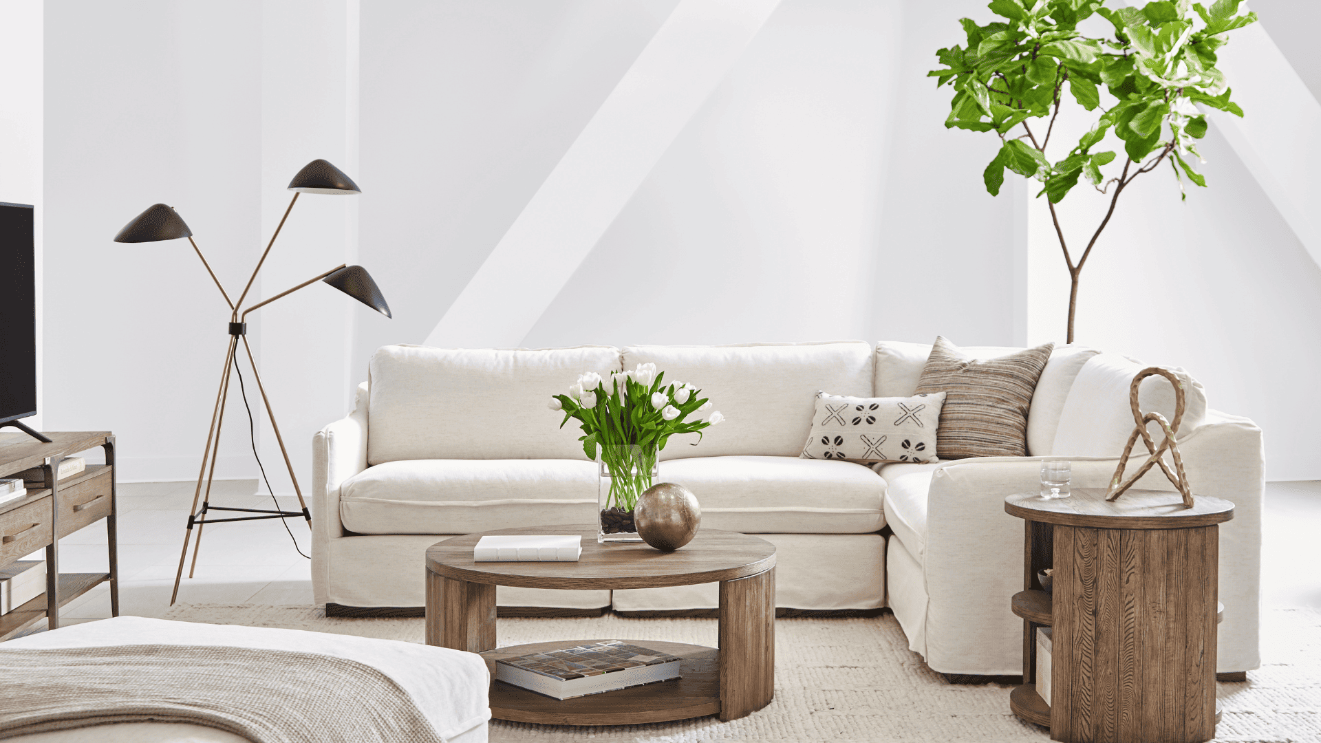 2023 Coffee Table Style Guide – Woodchucks Fine Furniture & Decor